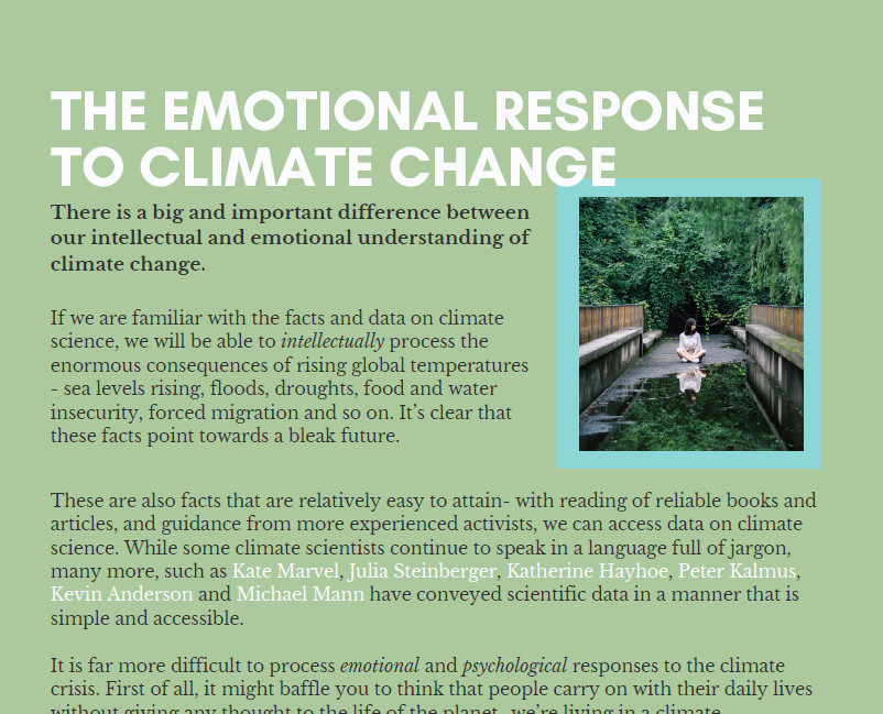 The Emotional Response to Climate Change – Climate Emergency Manchester