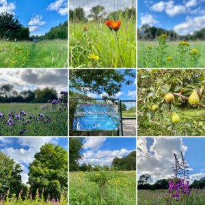 The year ahead – Save Ryebank Fields – Climate Emergency Manchester